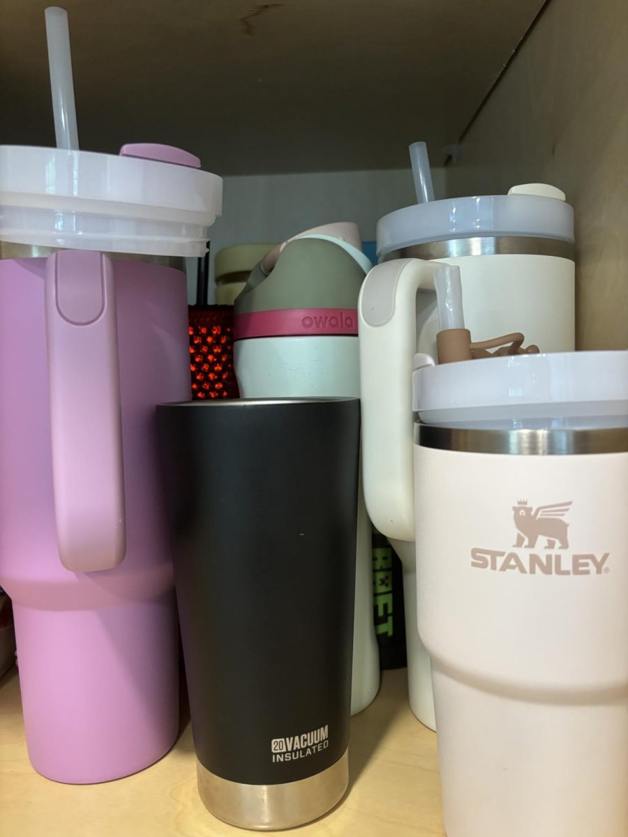 Stanley stampedes: The epidemic of overconsumption – The GH Falcon