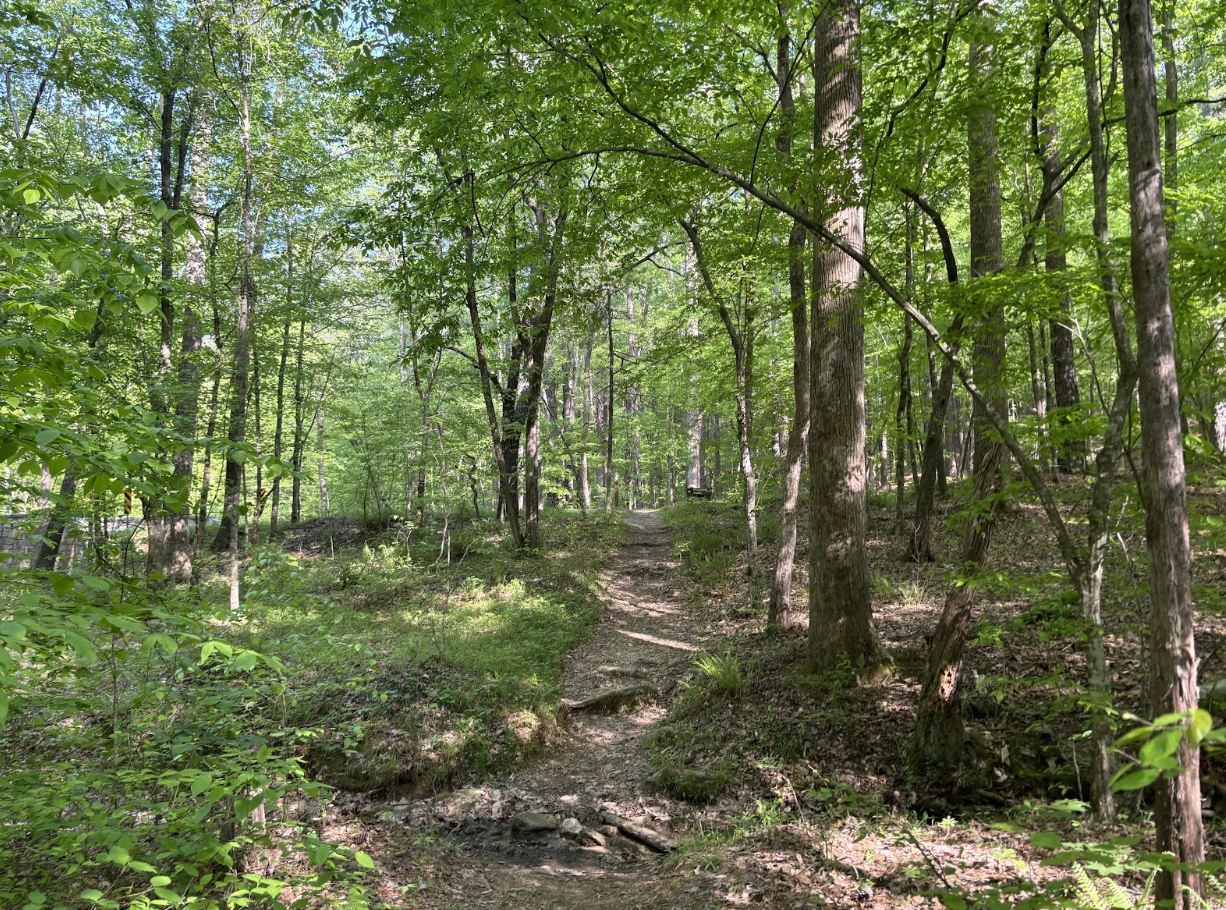 Trips in the Triangle: Hiking spots – The GH Falcon